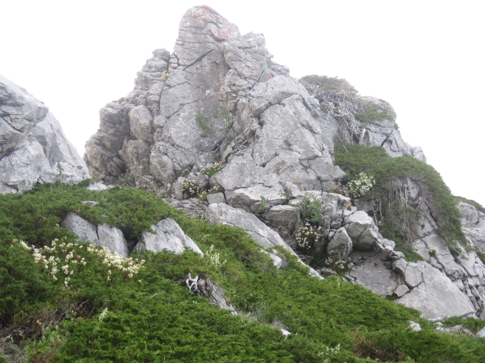 campo 031 — Postimages