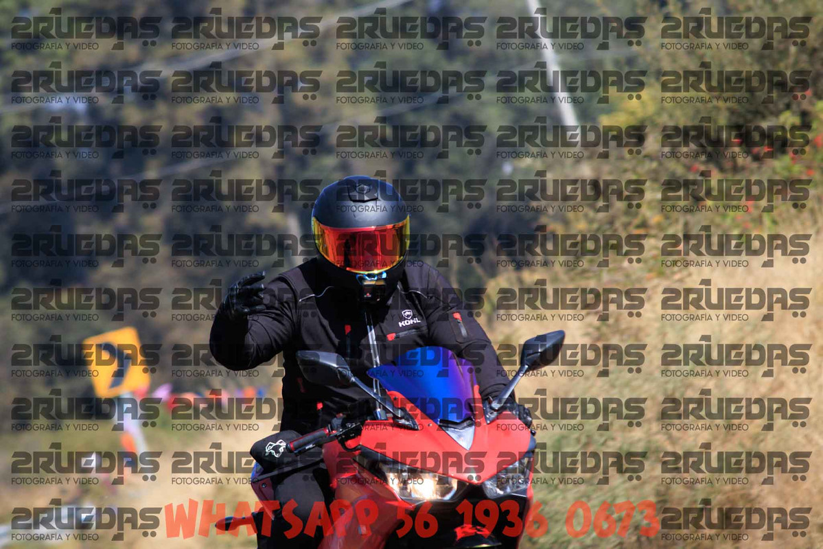 MG 8368 — Postimages