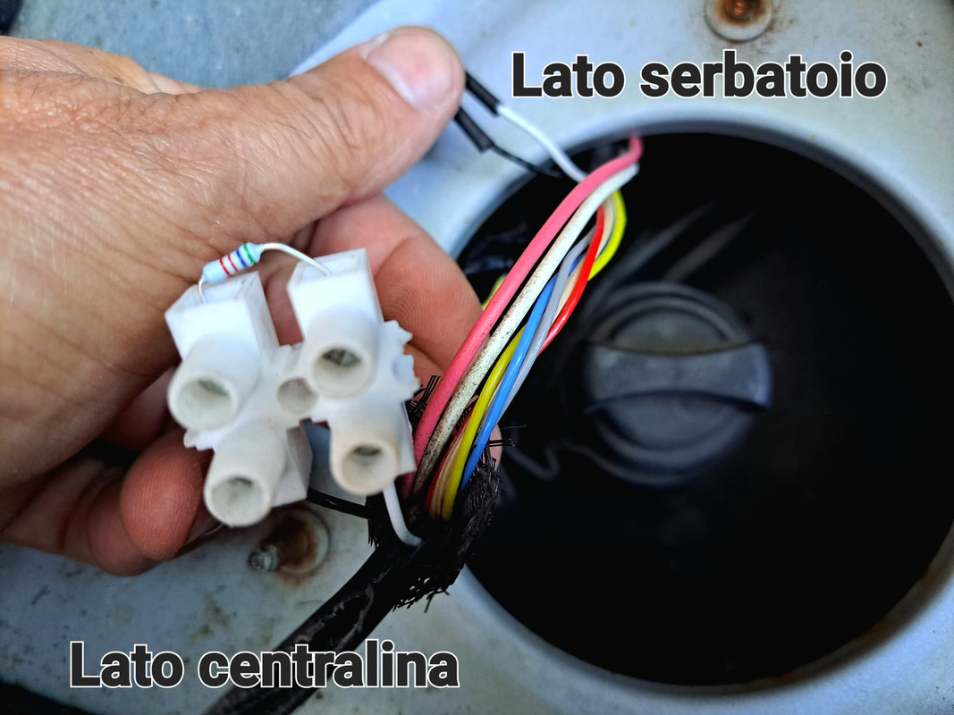 292234318 3279229832361181 5081861952880587456 n — Postimages