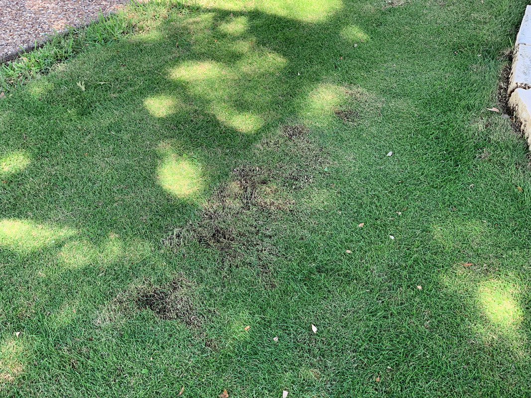 IMG 1842 — Postimages