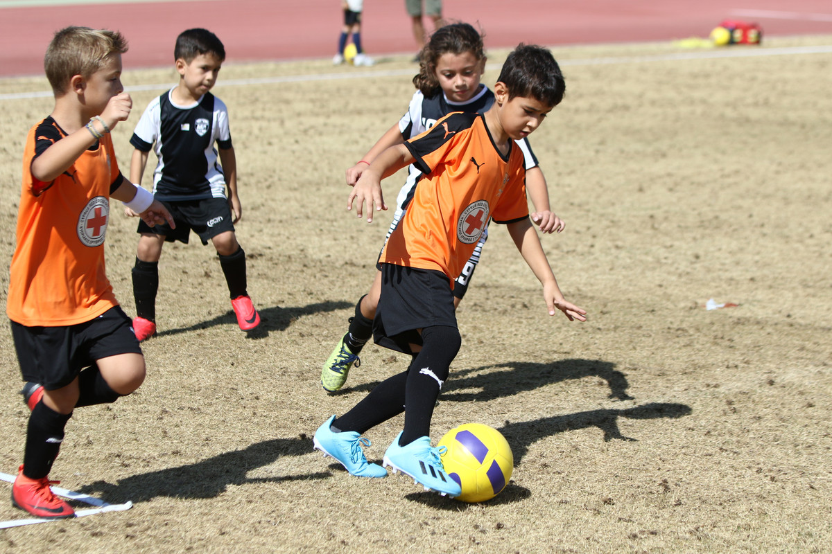 VIK 2169 — Postimages