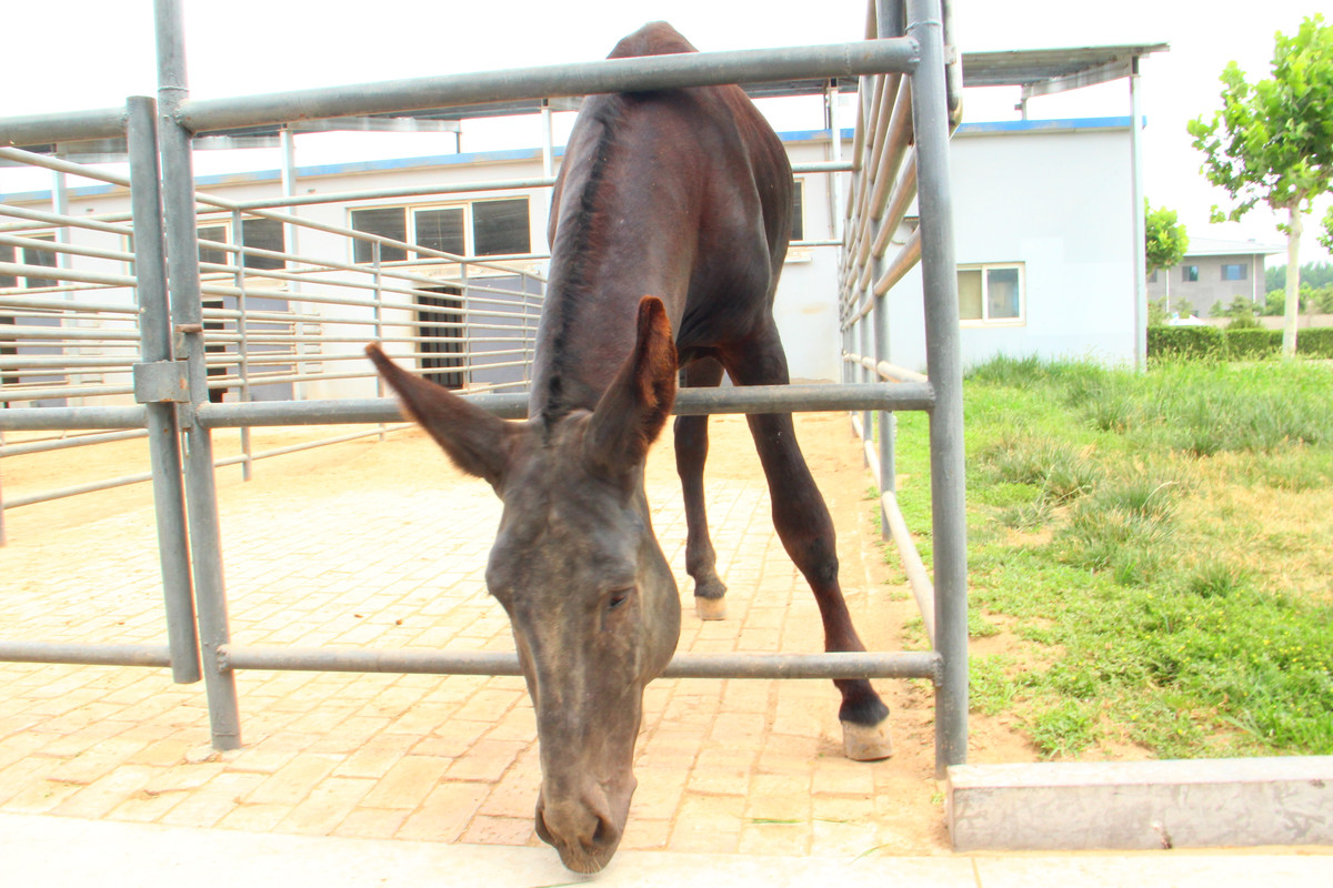 IMG 0152 — Postimages