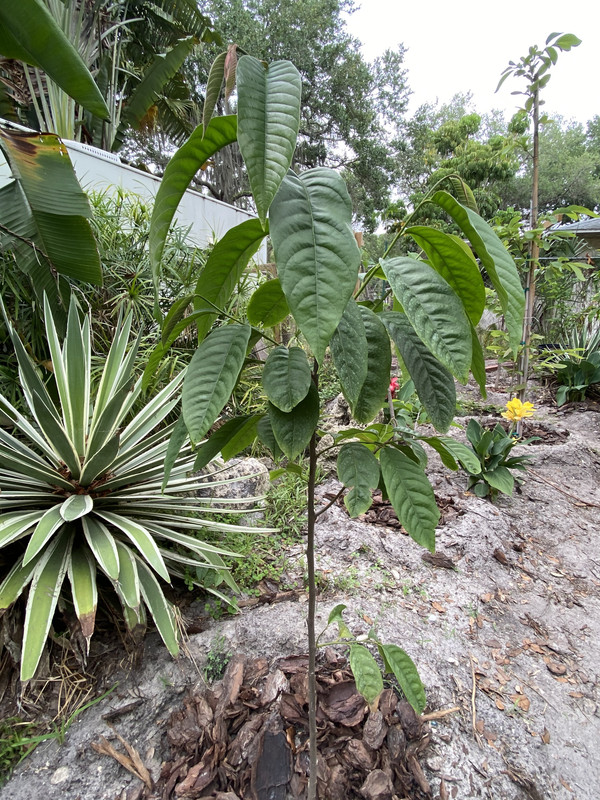 IMG 7353 — Postimages