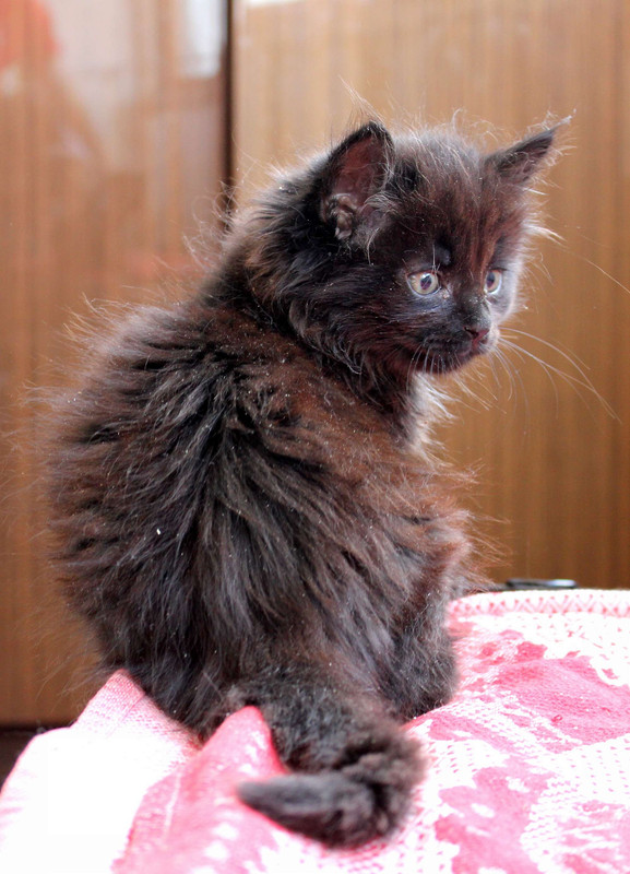 IMG 2467 — Postimages