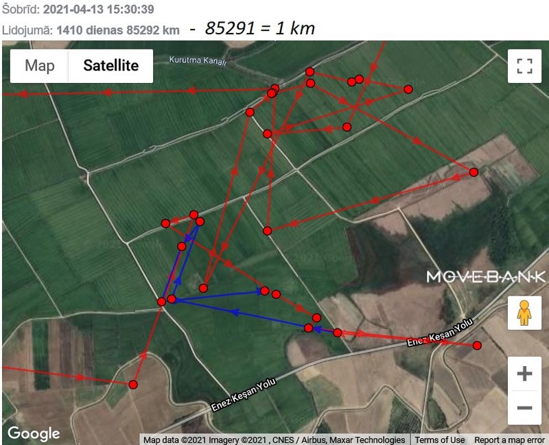 Black Stork Tracks - Page 618 - Looduskalender