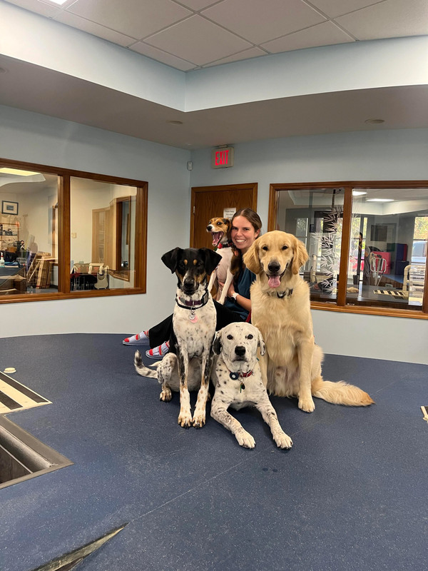 tdq270f0def91 copy — Postimages