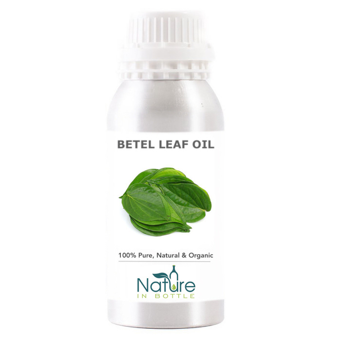 Betel Leaf Essential Oil Organic - Piper Betle India