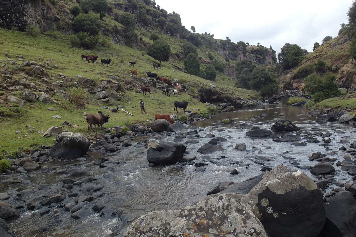 SAM 1678 — Postimages