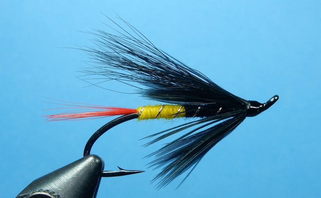 Black Prince - Fly Tying - Maine Fly Fish