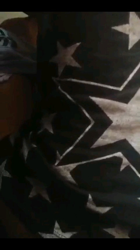 2024 11 26 10 42 47 — Postimages