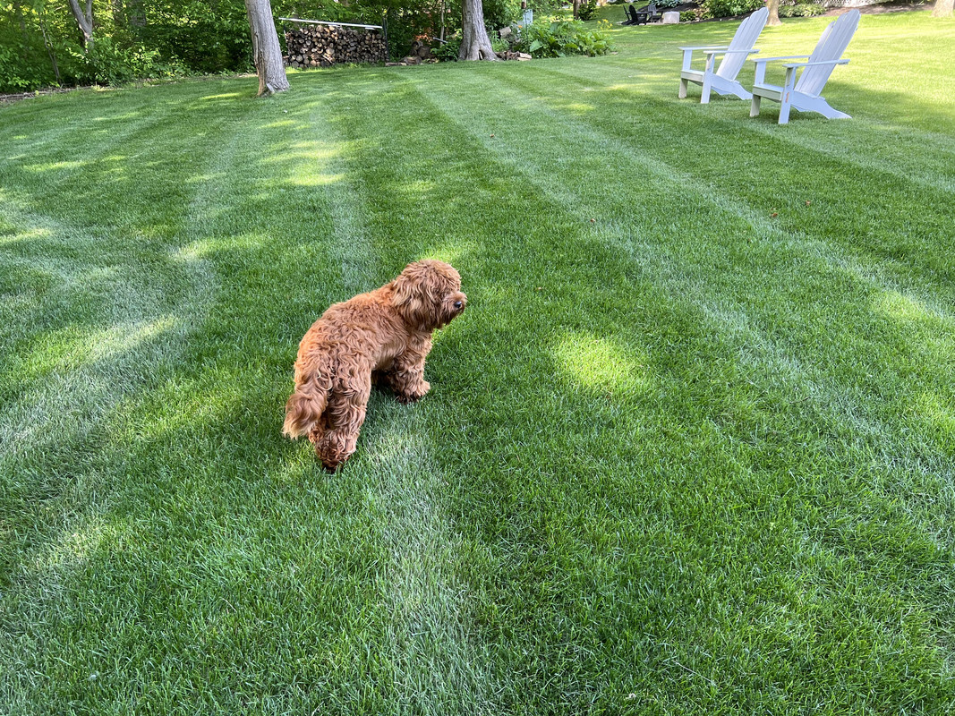 118 EDFA2 52 CA 4984 BF65 D335 FEE53 E27 — Postimages