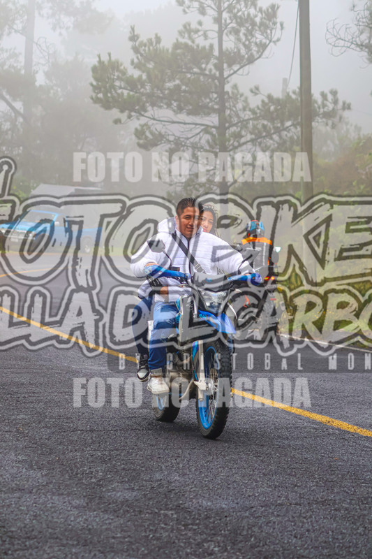 cartlz6 3004 — Postimages