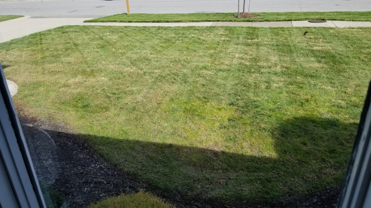 Tenacity and overseed? Pre-M? Tenacity and Pre-M?? | Lawn Care Forum