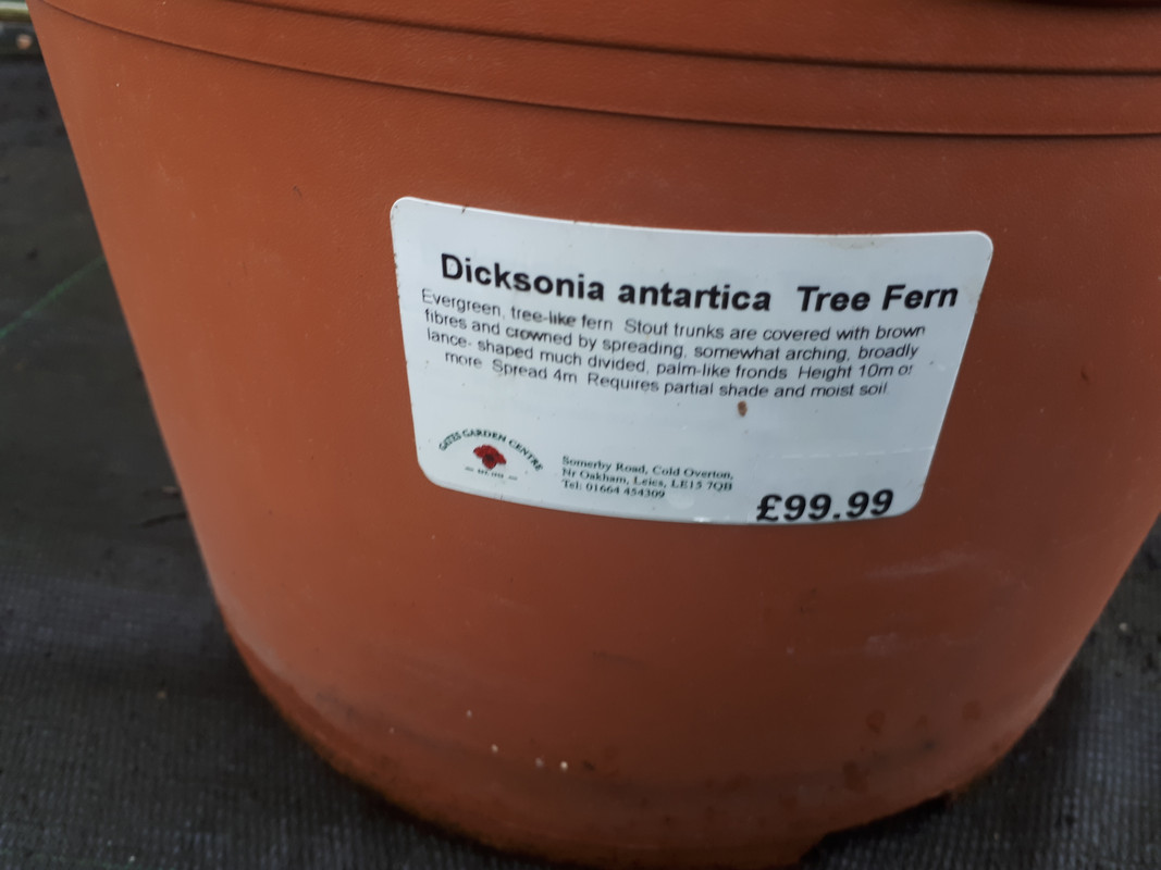 20180729 154500 — Postimages