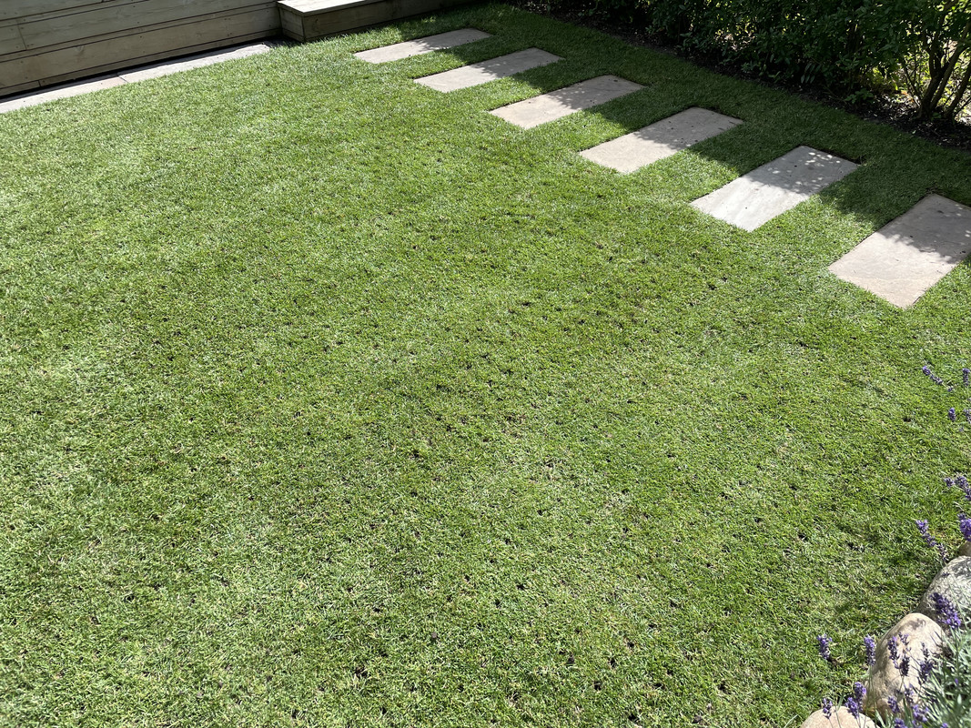 E0 FB8 DA3 5 CBB 4451 8932 3772 B352 C61 D — Postimages