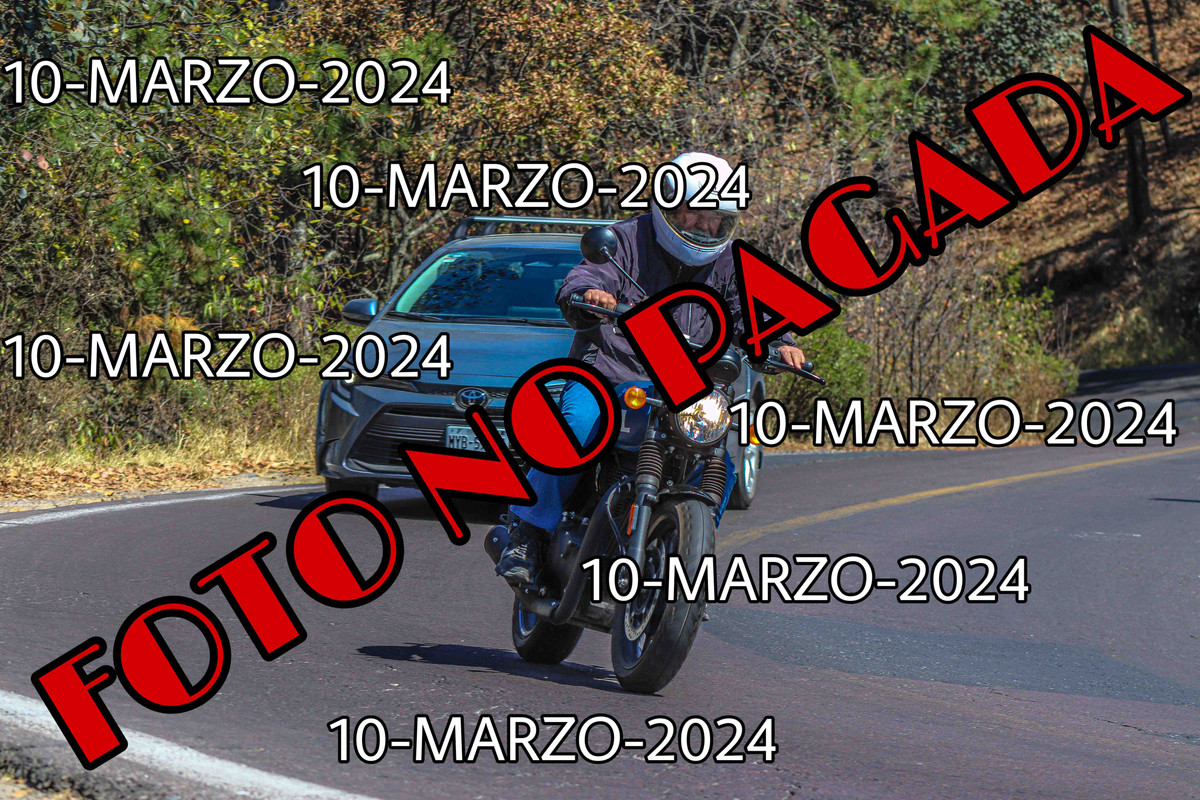 CS 301 — Postimages