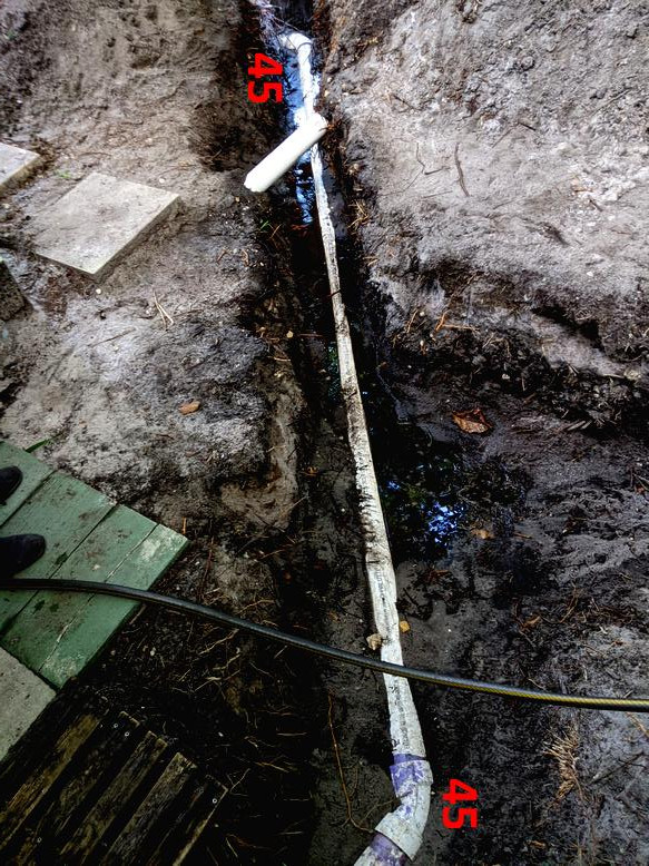 Root penetration into 4" drain line