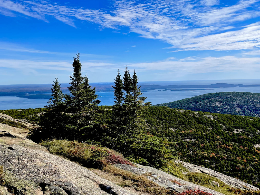 A21 EBB94 4 B84 4388 A8 AA F83 E2 D7 D2 DD9 — Postimages