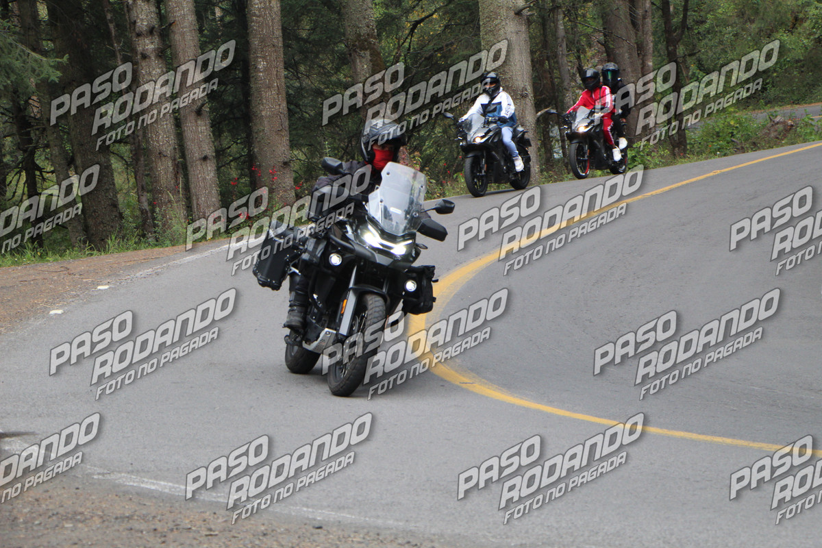 IMG 9290 wm 1889650 7999999989 watermarked — Postimages