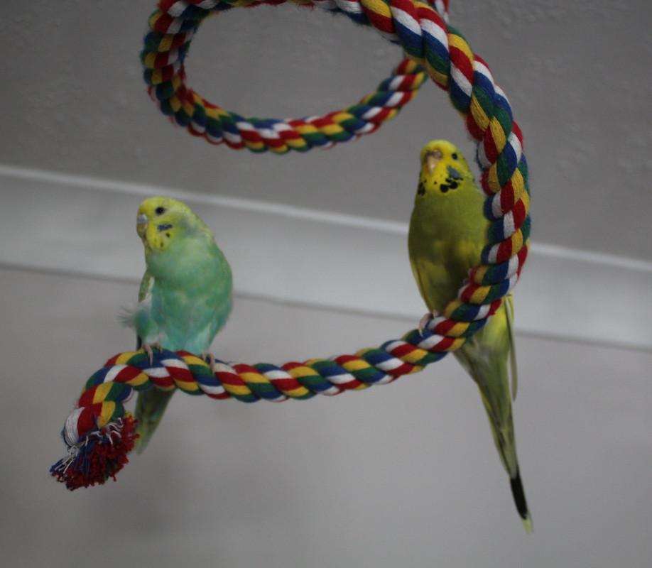 20230717102243 img 0455 — Postimages