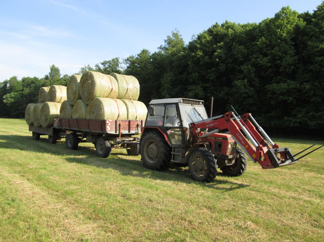 IMG 0998 — Postimages