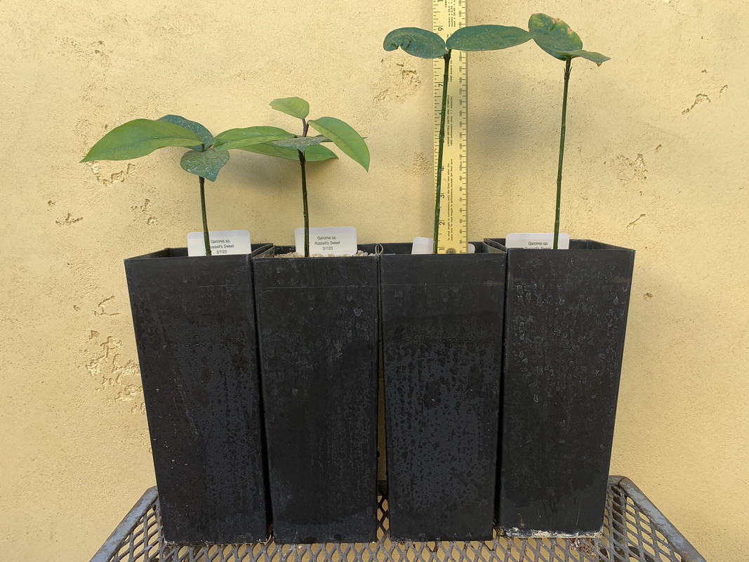 514 E413 E 75 FB 4557 A15 C 0425 CB9 F20 DB — Postimages