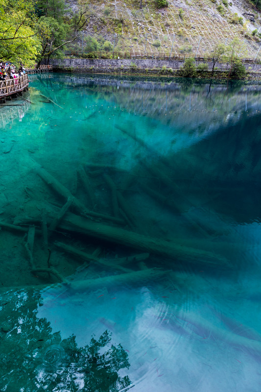 IMG 3633 Jiuzhaigou National Park Panda lake — Postimages