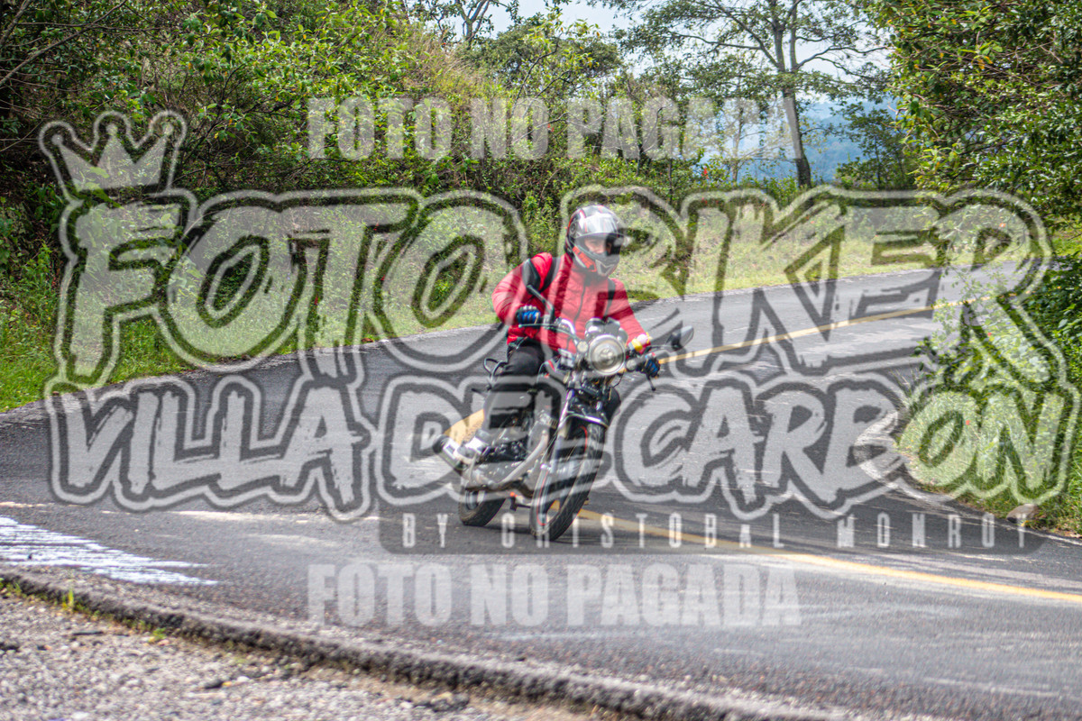 C1P1 109 — Postimages