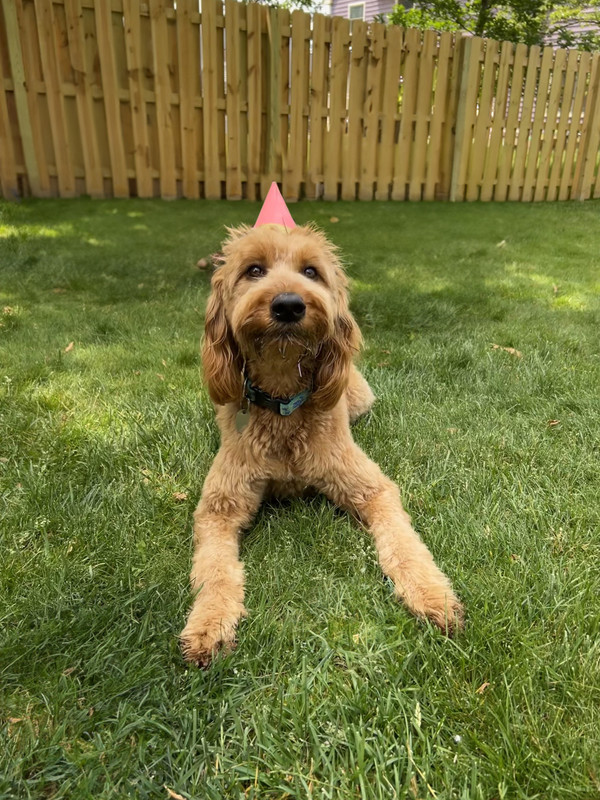 fq72ehgey75b1 copy — Postimages