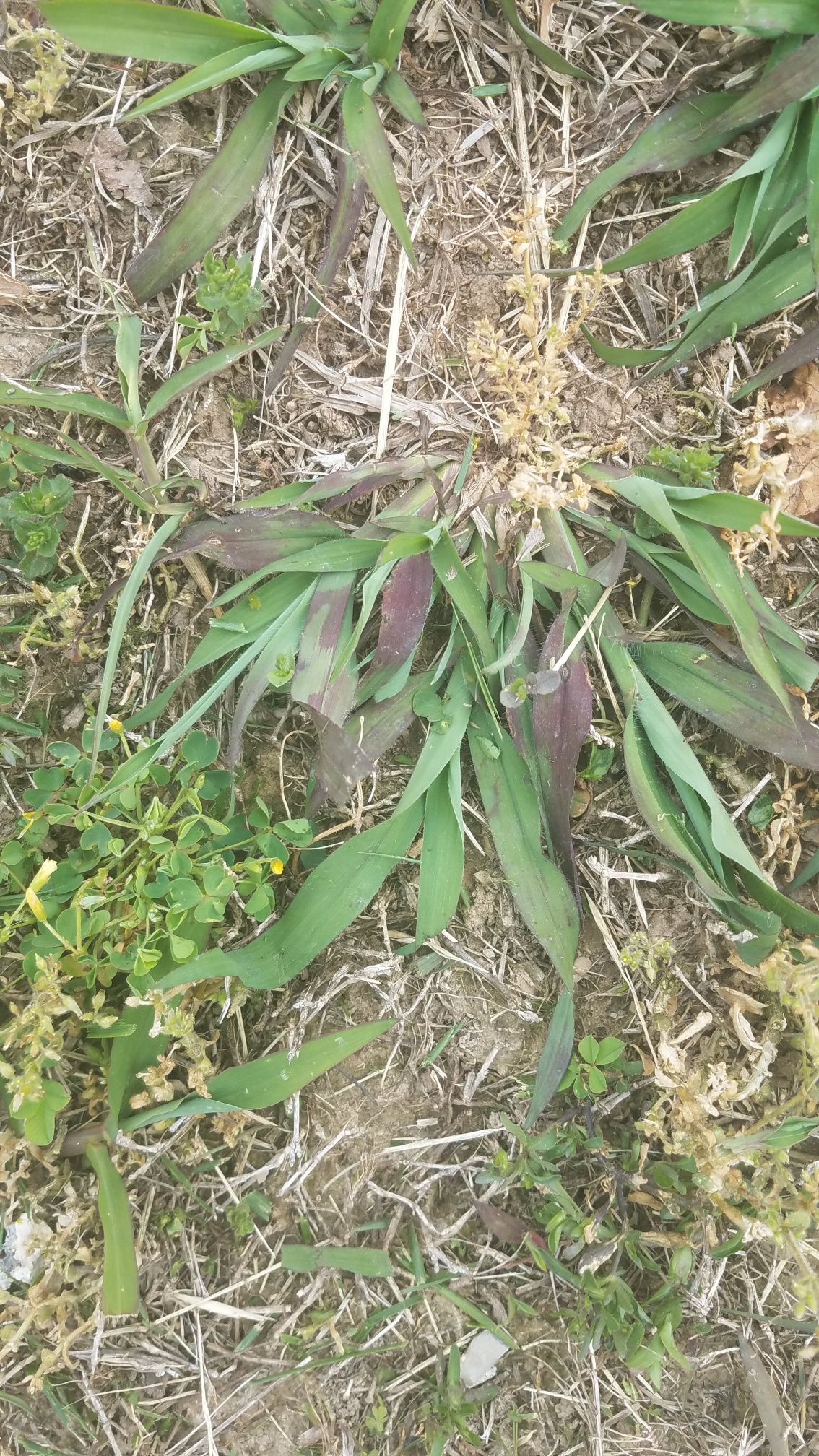 batch 20210515 161000 — Postimages