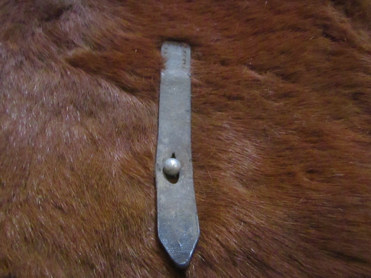 IMG 2723 — Postimages