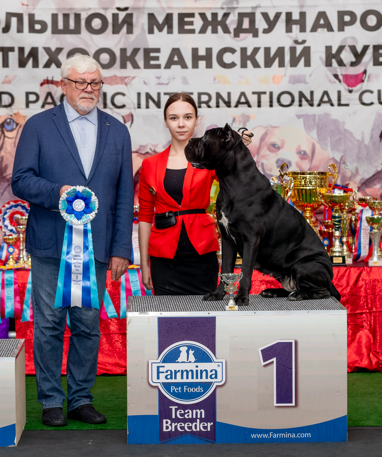 30 1223 — Postimages