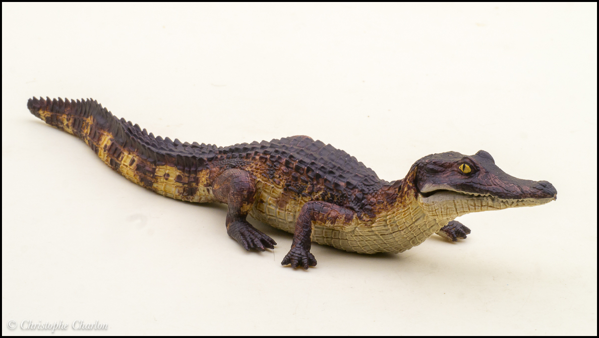Papo 50311 Caiman: a review and comparison topic by Kikimalou