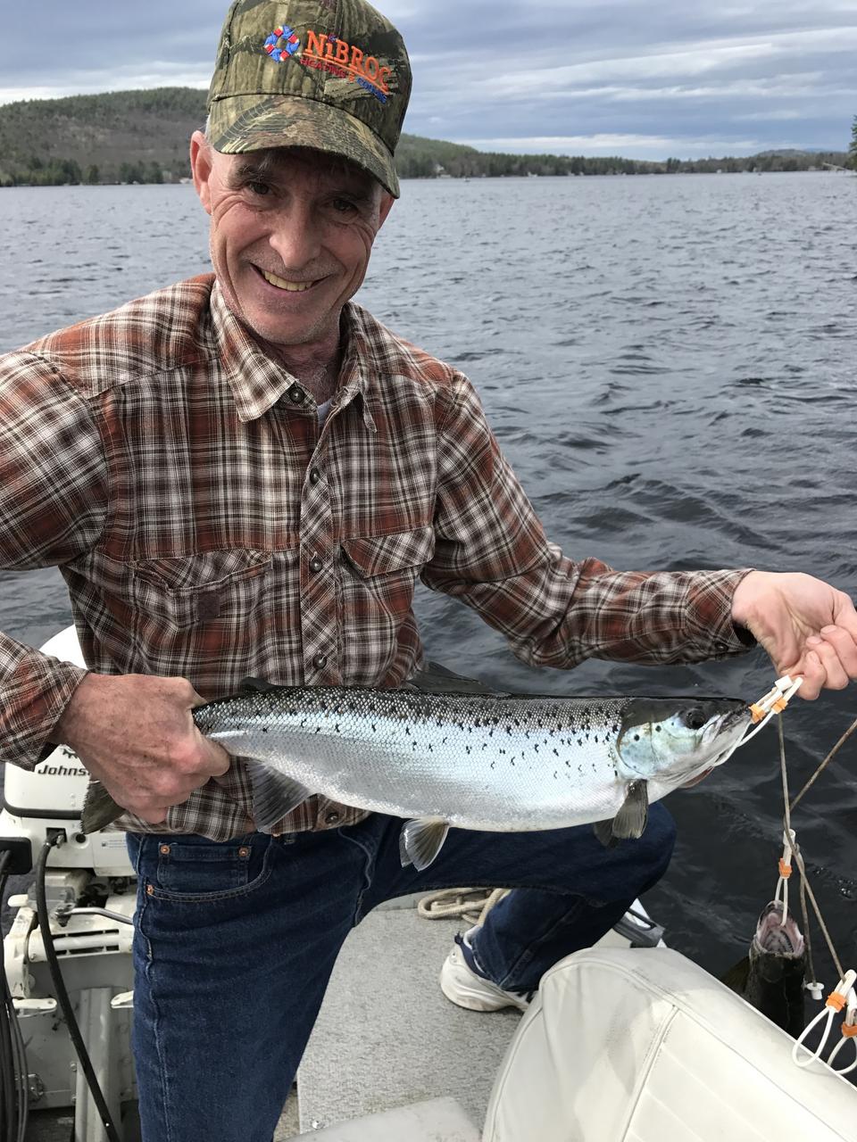 ricks fish — Postimages