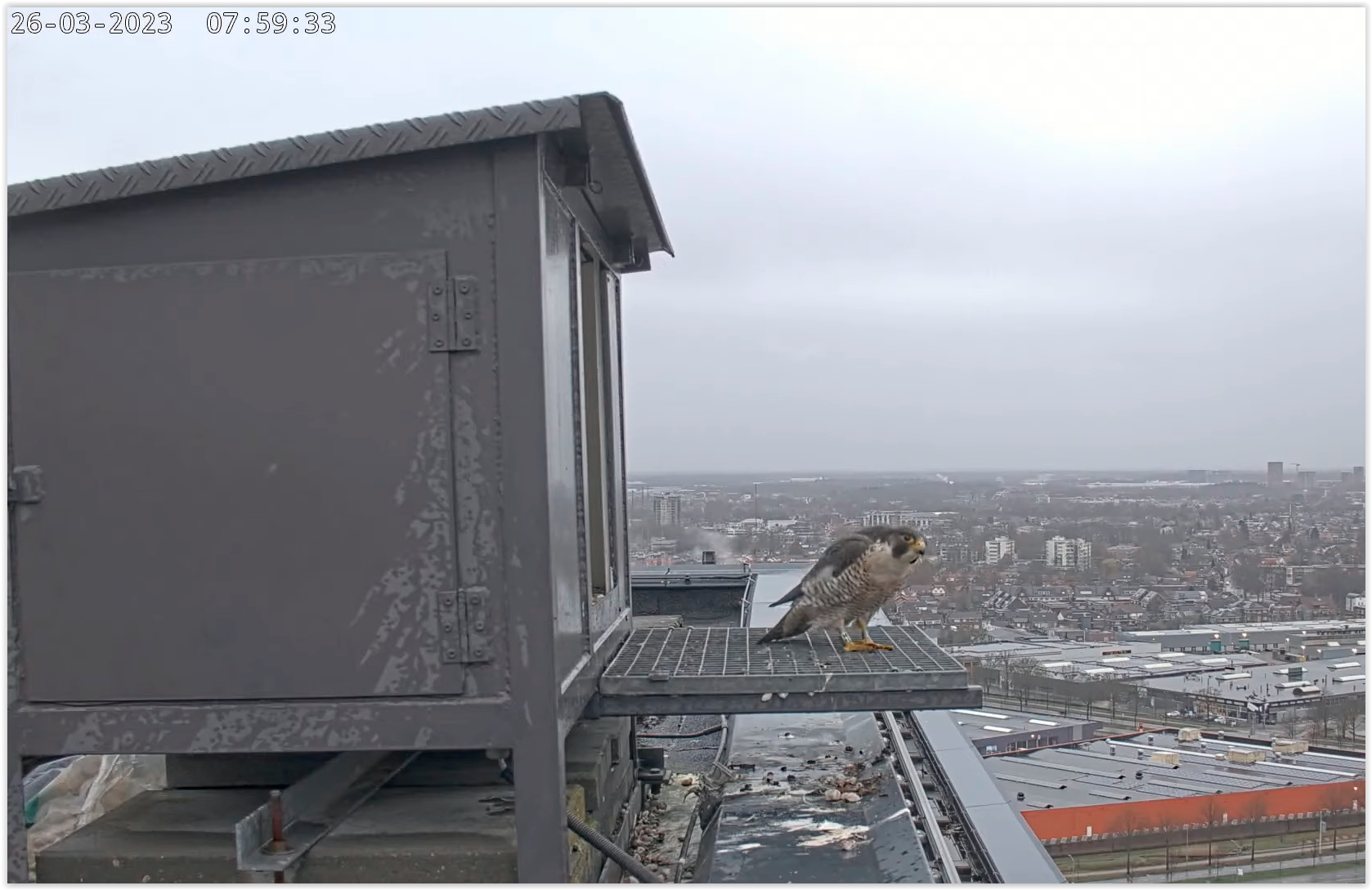 Screen Shot 03 26 23 at 08 00 AM — Postimages