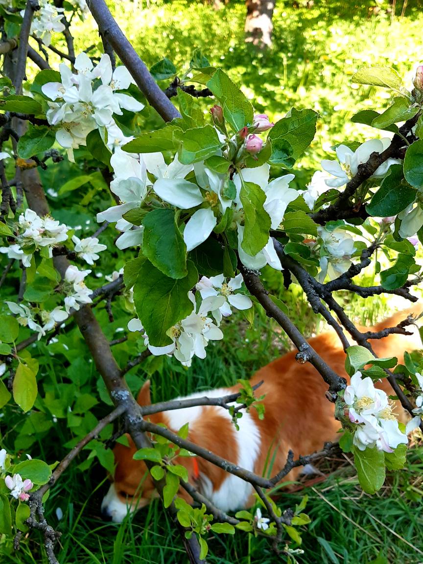 20230516 155611 — Postimages