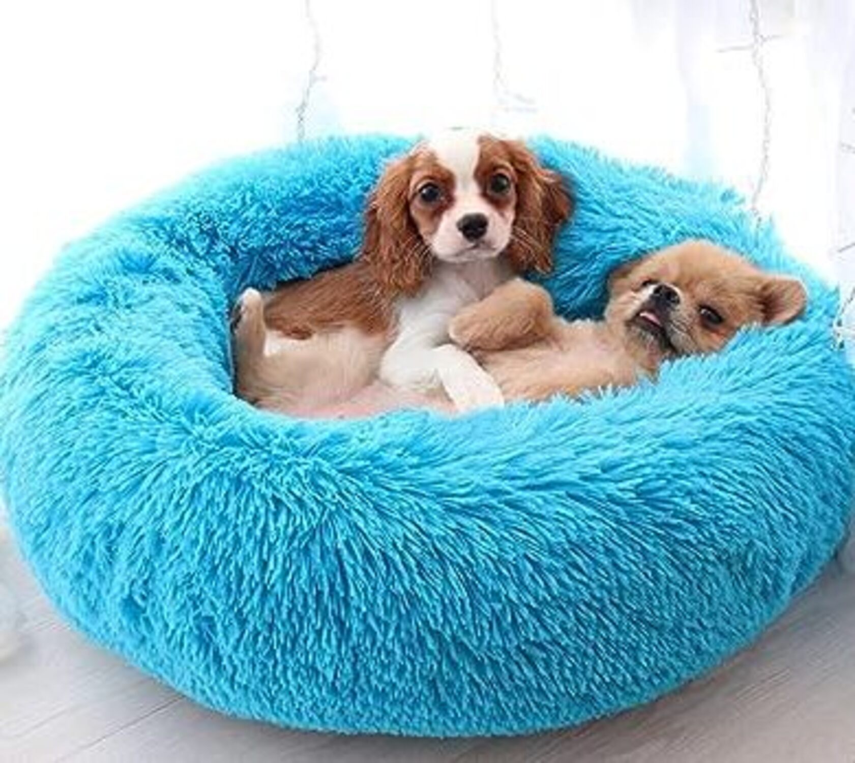 AZUL CLARR (1) (1) (1) — Postimages