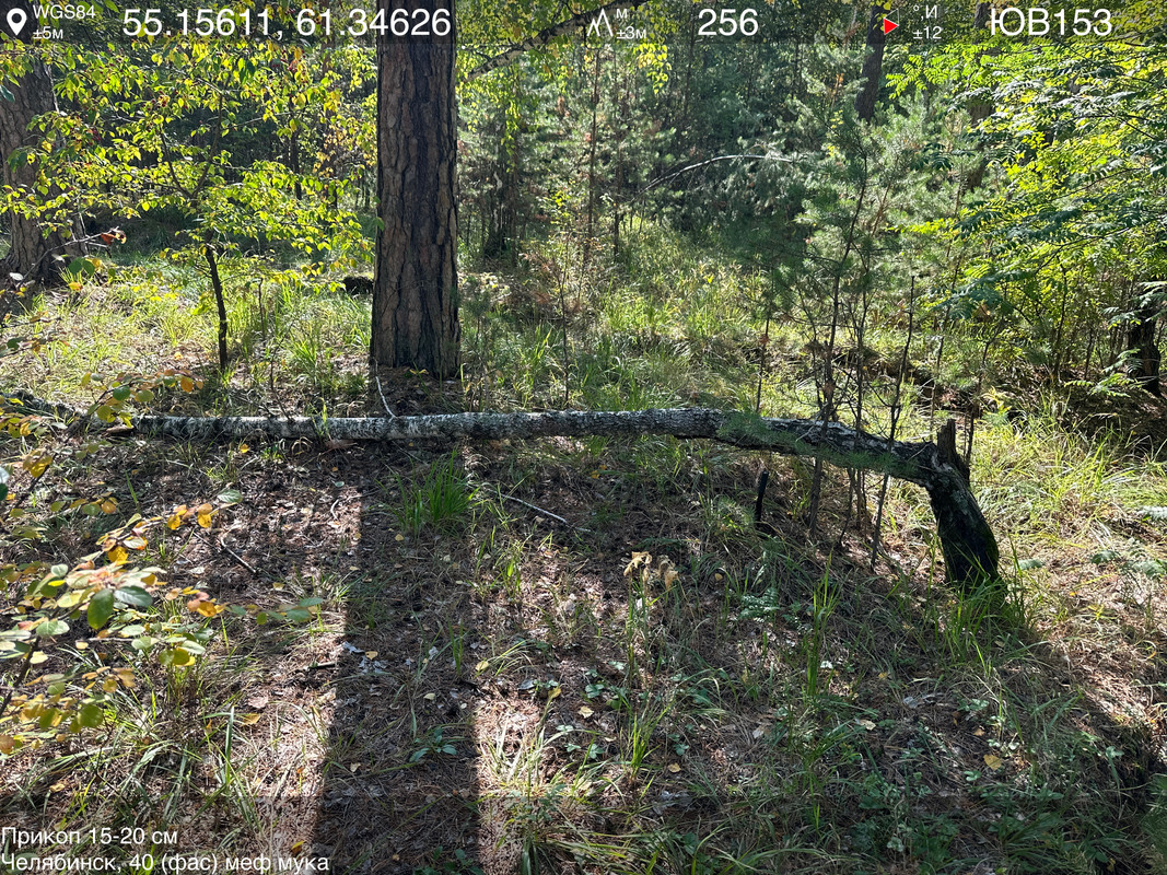 CHELB CITY (16) — Postimages