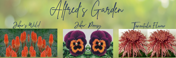 Alfred's Garden - McJones - Batman - All Media Types [Archive of Our Own]