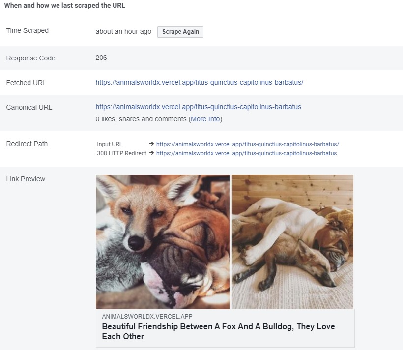 Using Vercelnextjs Redirectmask Url Only For Facebook Rnextjs