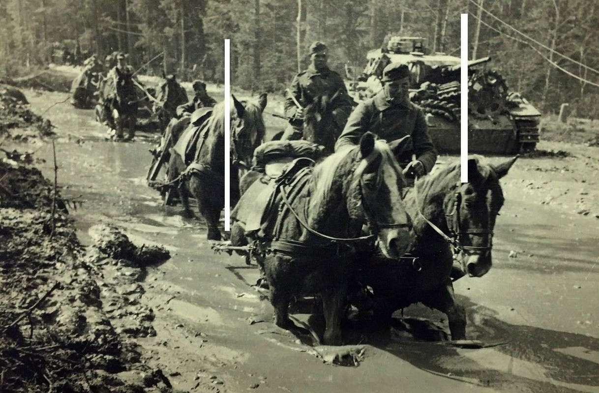 5 JAGER DIVISION — Postimages