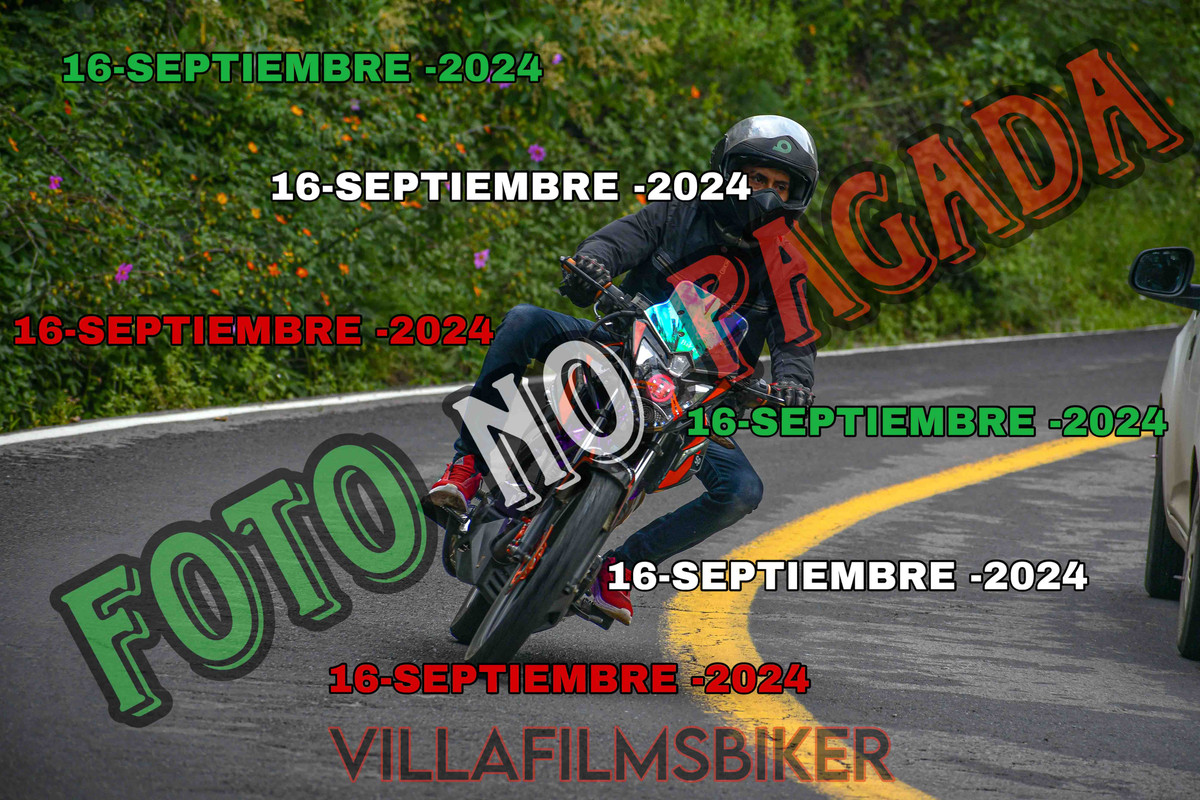 CC 3631 — Postimages