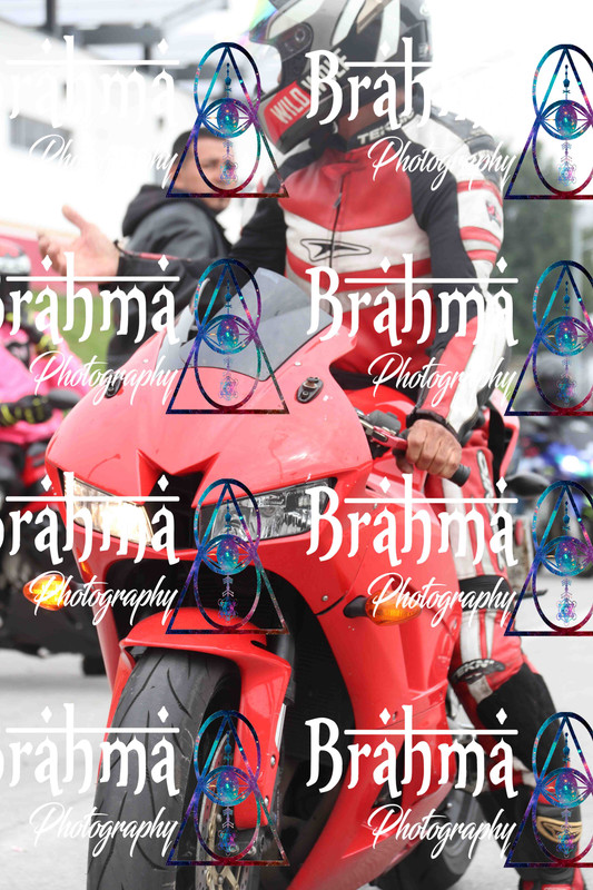 IMG 3328 — Postimages