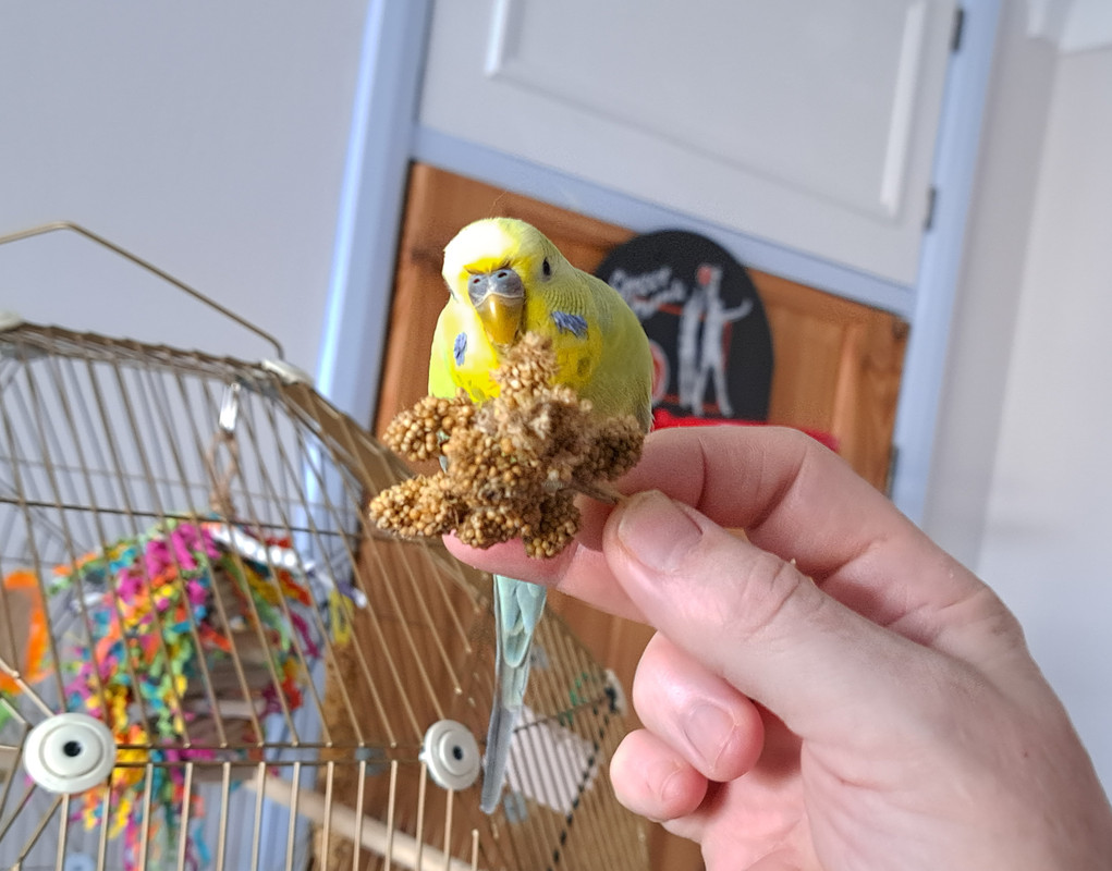 20221125 082951 — Postimages