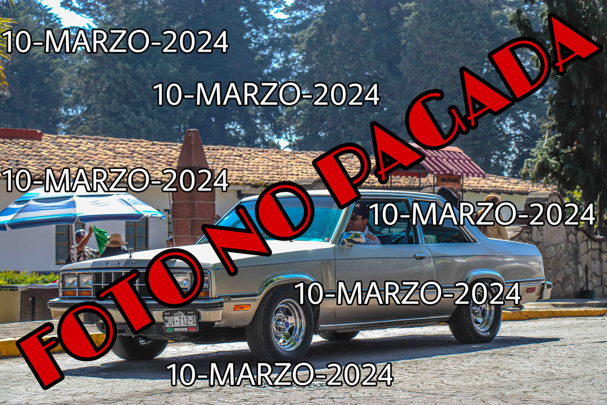 CV 115 — Postimages