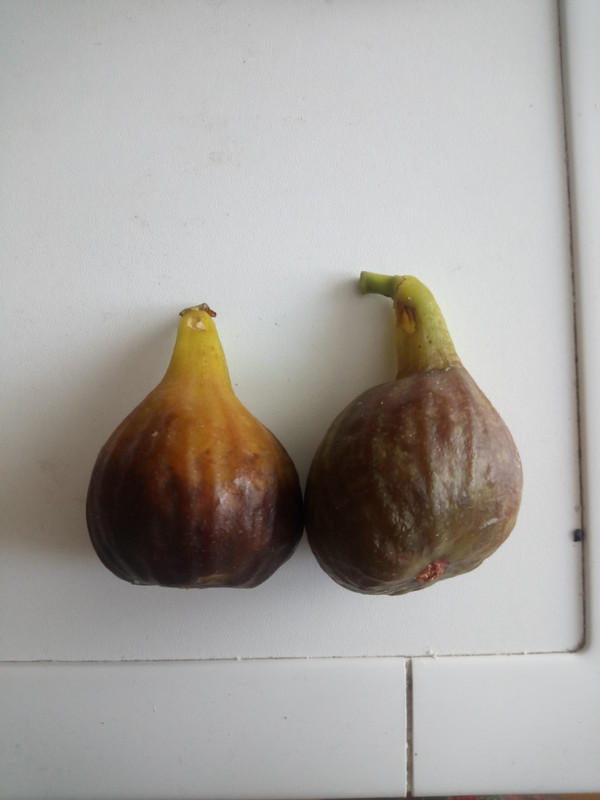 IMG 20230816 133735 397 — Postimages