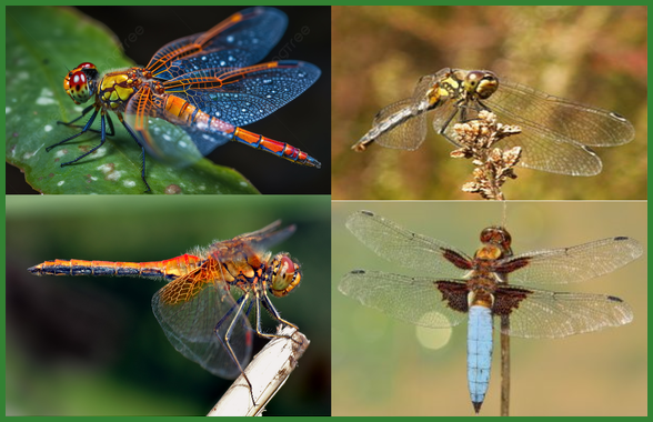 {Sky,, ☺♫☼♥♪ }