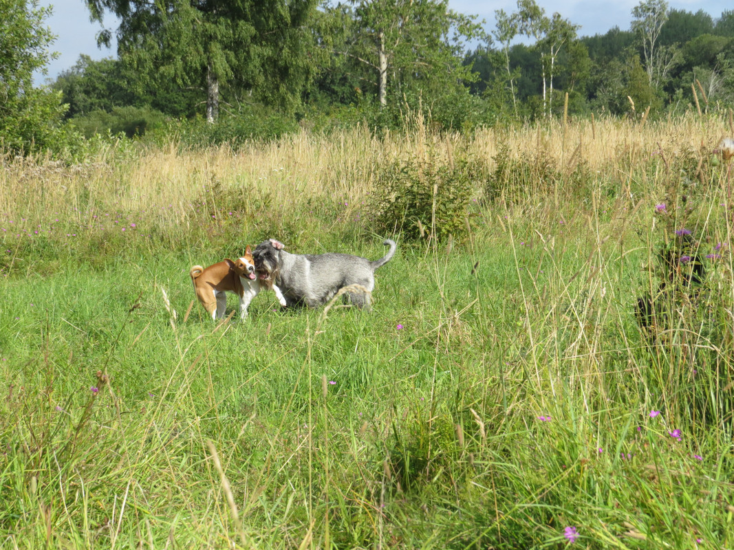 IMG 8667 — Postimages