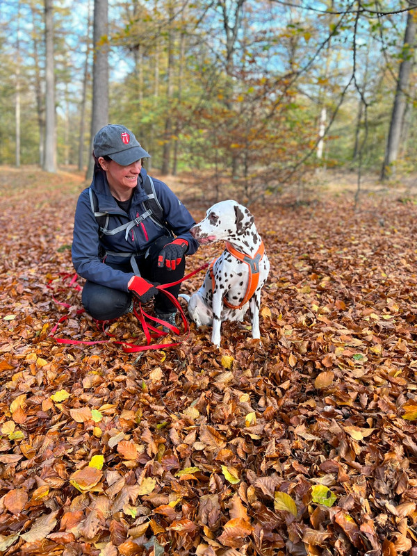 IMG 20221102 WA0019 — Postimages