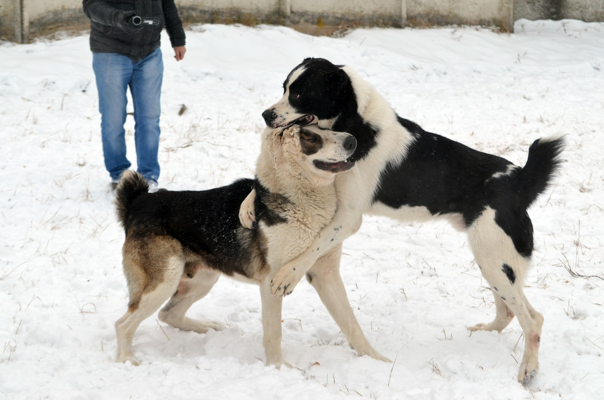 DSC 0533 — Postimages